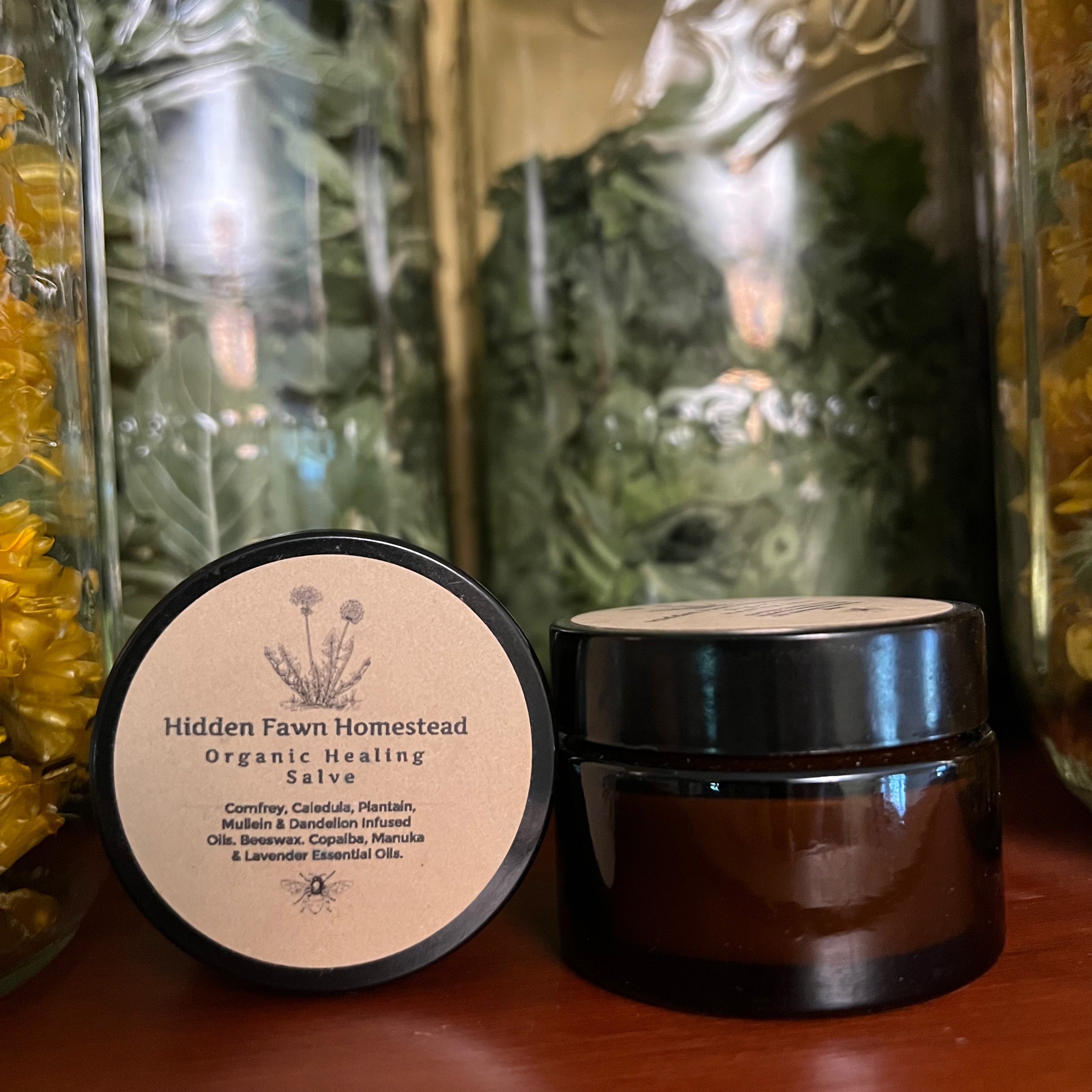 Herbal Healing salve | Hidden Fawn Homestead